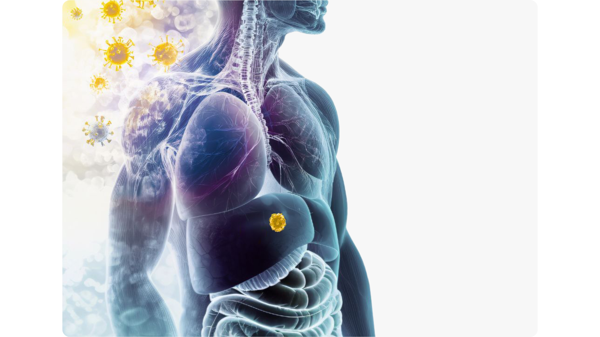 Solutions: Oncology | MCM MEDSYS