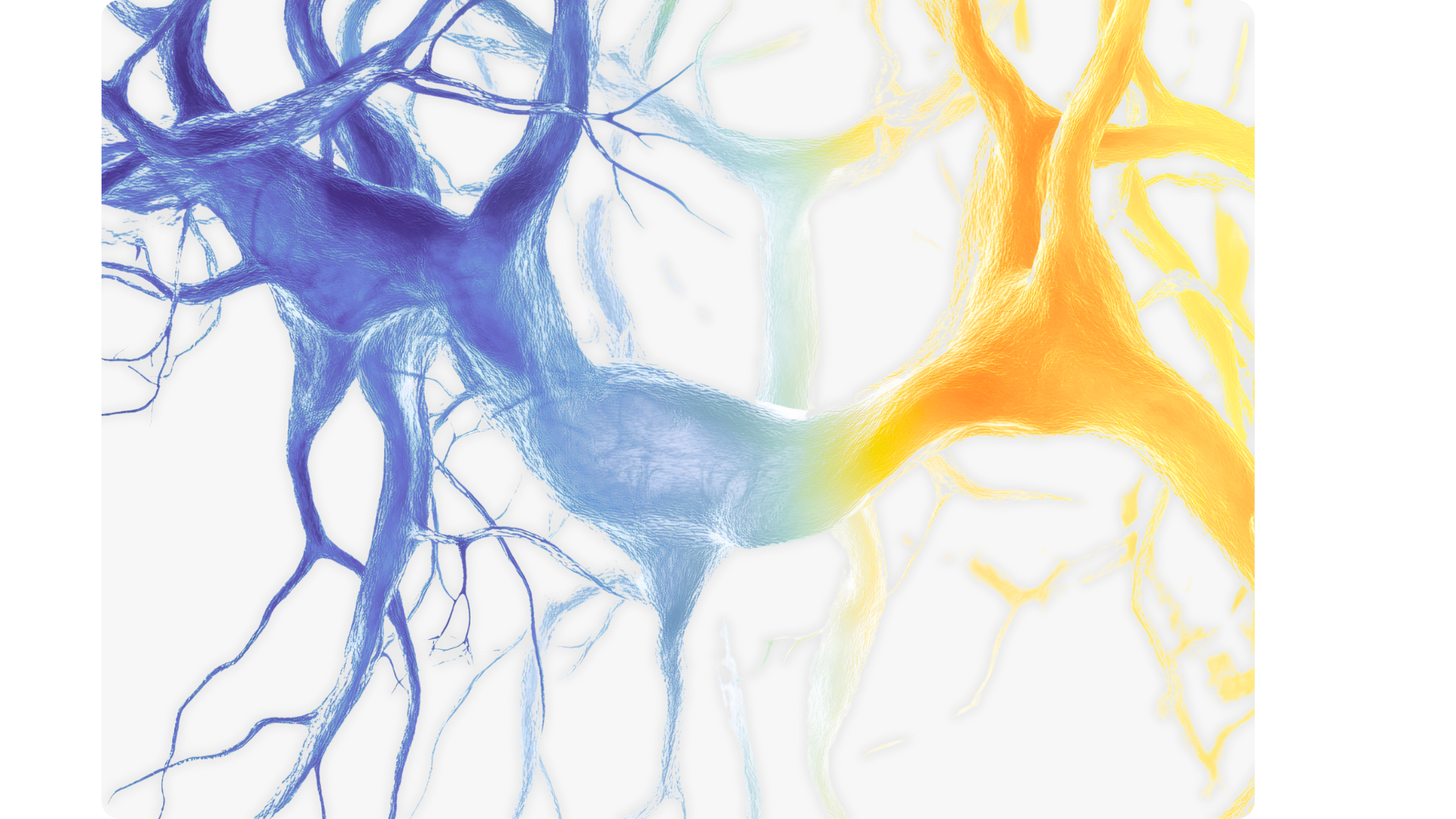 Solutions: Vascular | MCM MEDSYS