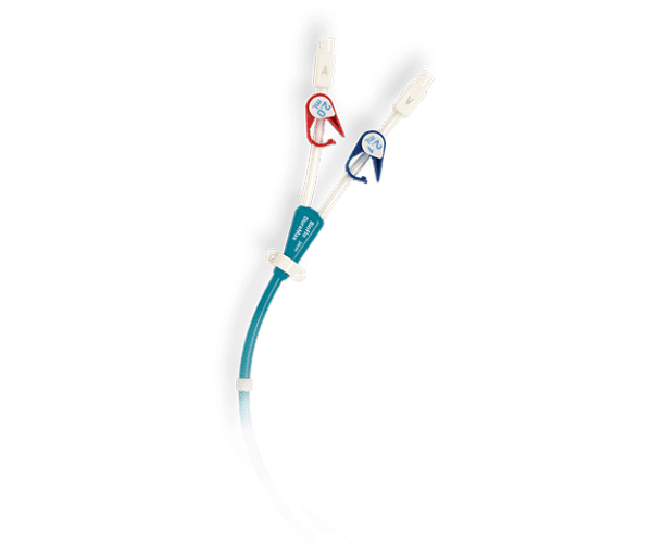 BioFlo DuraMax® – catheter for hemodialysis | MCM MEDSYS